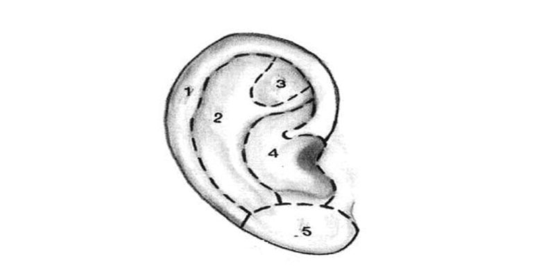 Ear Wedges – HealthCert Education