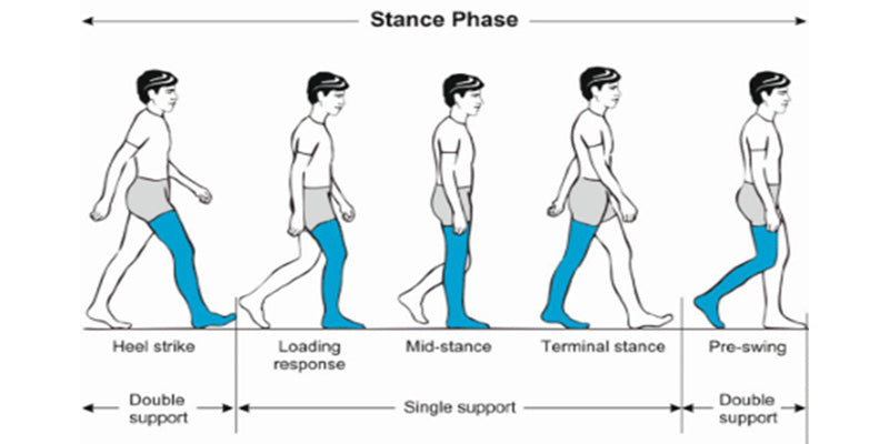 Physical and Biomechanical assessment of lower limb and gait problems ...